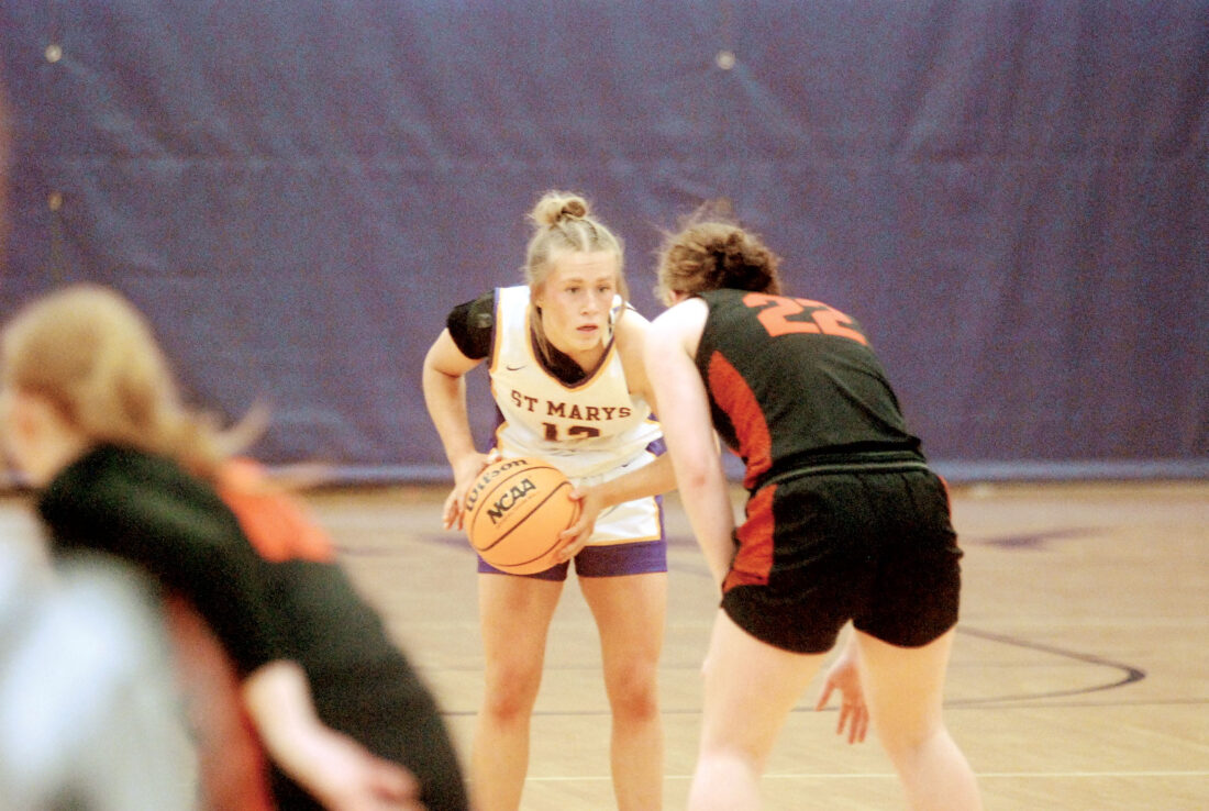 Mid-Ohio Valley Prep Basketball Statistical Leaders | News, Sports ...